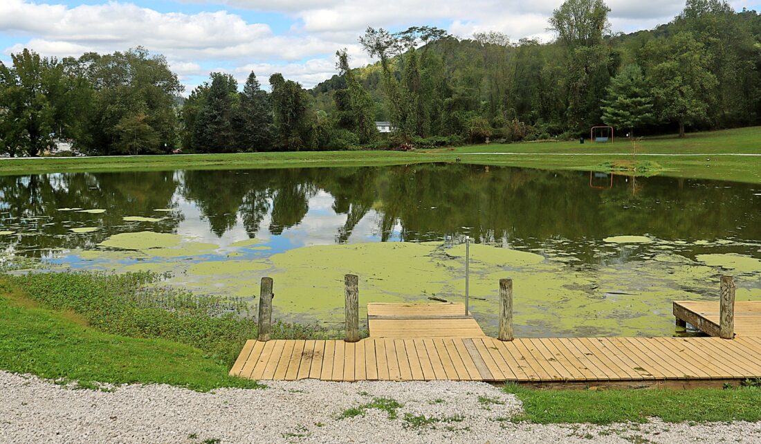 Lewis Wetzel Pond Fish Kill | News, Sports, Jobs - Wetzel Chronicle